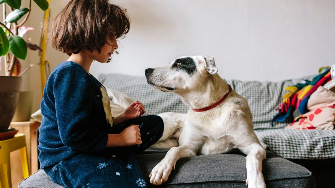 Customer support | Customer | Aegon